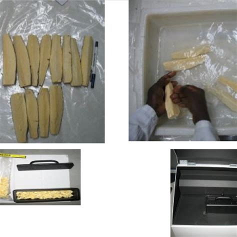 Sample Preparation Work Flow Of Nirs Analysis In Fresh Cassava Roots