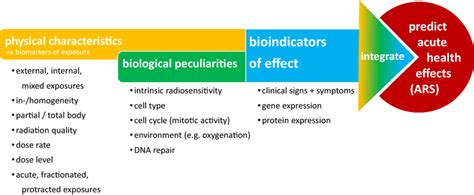 Radiation Poisoning Effects