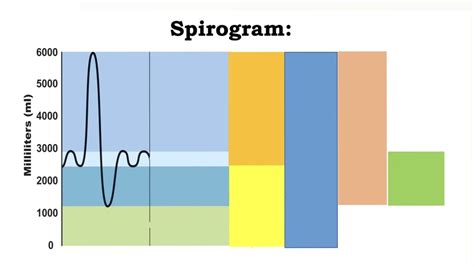 Spirogram Diagram Quizlet