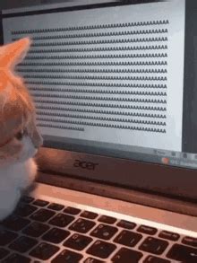 S De Typing Meme Tenor