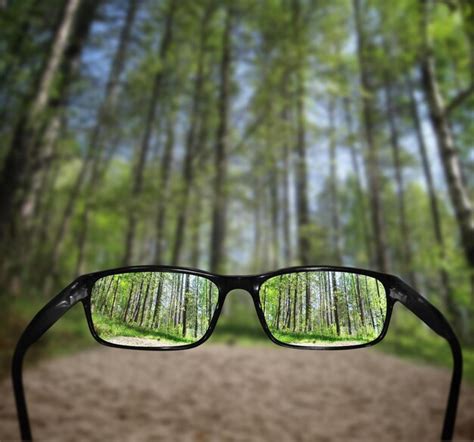 Premium Photo View On Forest In Summer Through Glasses Vision Concept