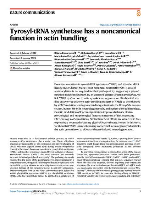 Pdf Tyrosyl Trna Synthetase Has A Noncanonical Function In Actin Bundling