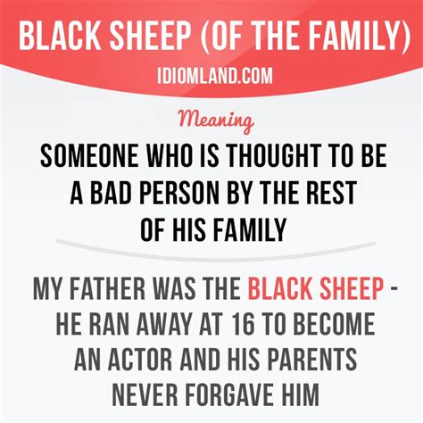 Black Sheep Idiom Example At Leonard Gagliano Blog