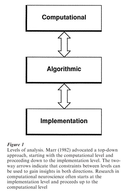 Computational Neuroscience Research Paper Iresearchnet