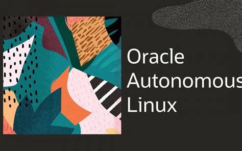 Oracle Autonomous Linux Ciclos Formativos Del Ies Valle Del Jerte Plasencia