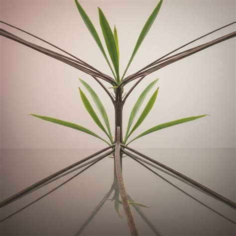 Responsive Environments → Term