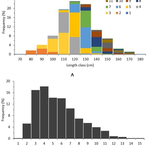 Age Class Composition In Correspond To Length Class A And