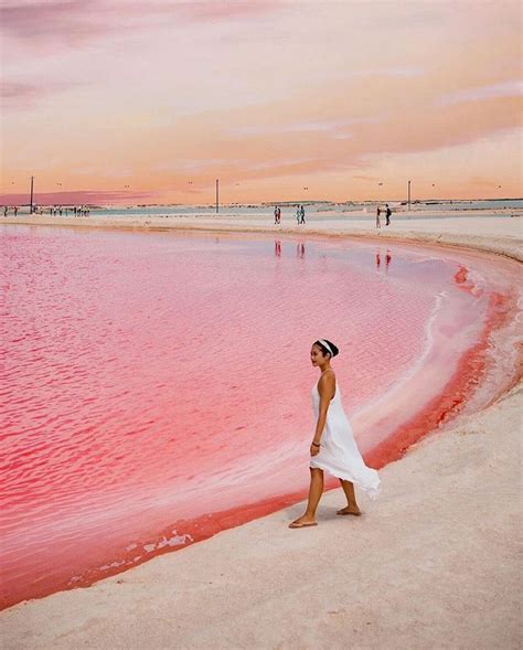 Travel Guide The Pink Lagoon At Las Coloradas Mexico Artofit