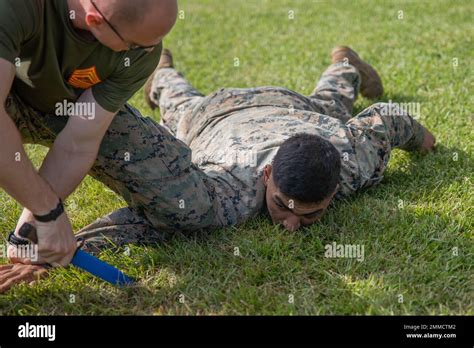 Cpl Thomas Hernandezbarrales A Military Police Officer With Provost