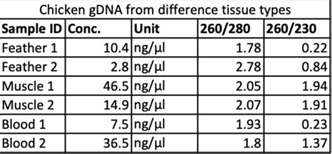 Solved These Are The Nanodrop Results How Do You Calculate The Yield