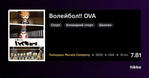 Волейбол Ova 2020 Hikka