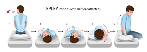 Ampulla Over 405 Royalty Free Licensable Stock Illustrations