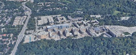 Sunnybrook Hospital Reviews And Everything You Need To Know