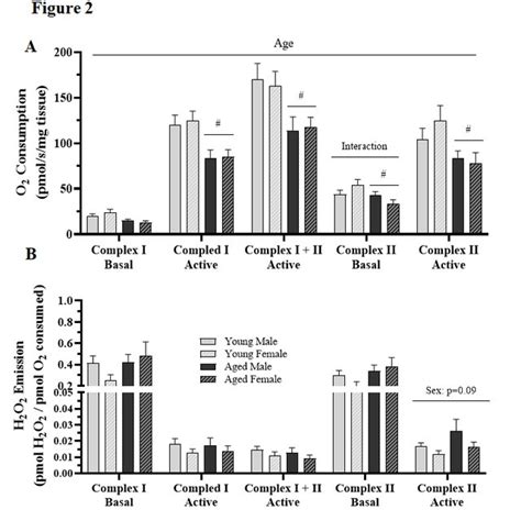 Three Types Of Autophagy Macroautophagy Microautophagy And