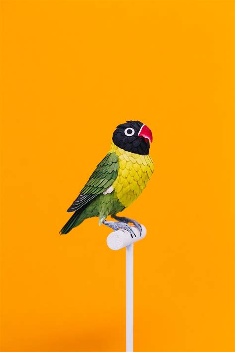 Printable Papercraft Bird Printable Papercrafts Printable Papercrafts