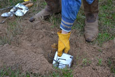 My Stuff Gopher Eradication