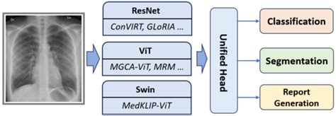 논문 리뷰 Benchx A Unified Benchmark Framework For Medical Vision