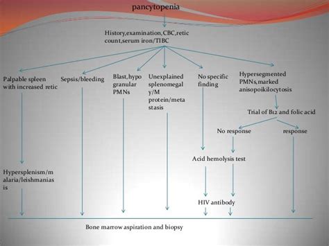 Investigations Of Pancytopenia