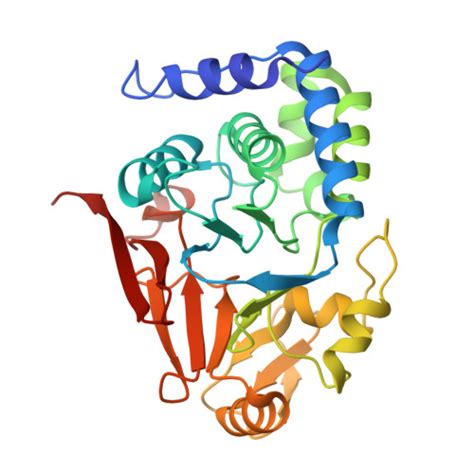 Rcsb Pdb 8sw6 Protein Phosphatase 1 In Complex With Pp1 Specific Phosphatase Targeting