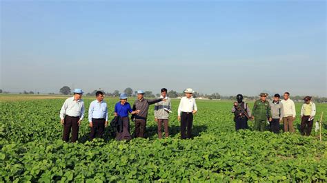 နေပြည်တောင်ကောင်စီဝင် ဦးမြင့်စိုး ပျဉ်းမနား ဘိုးဘွားရိပ်သာ၏ အကြိမ်၃၂မ
