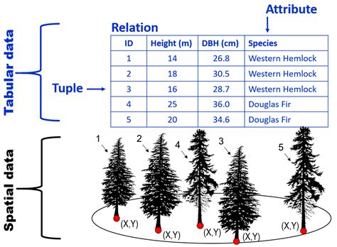 Chapter 5 Relational Databases An Open Geomatics Textbook