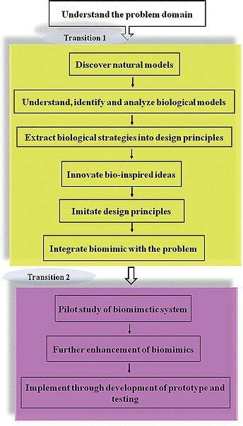 A Flowchart Showing The Steps Involved In Biomimetic Design And Assessment Download Scientific