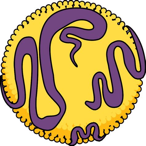 Lipoprotein Vldl Figure Science Figures