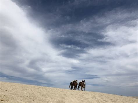 Human Superiority Complex Deniz Başıbüyük