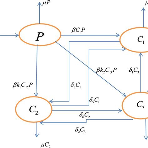 Social Cognitive Theory Framework Of Determinants Of Teenage