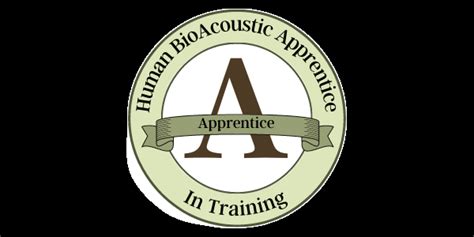 Beginner Class Bioacoustic Solution