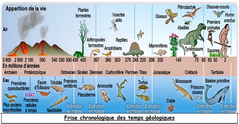 Frise Chronologique Temps Géologiques Grfz