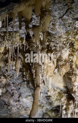Stalactites And Helictites In The Chimes Chamber In The Timpanogos Cave