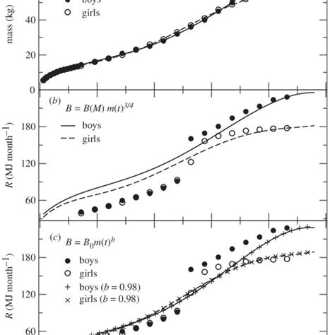 Ontogenic Growth Model For Humans Experimental Data Are Represented