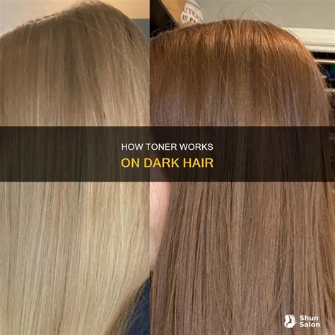 How Toner Works On Dark Hair Shunsalon