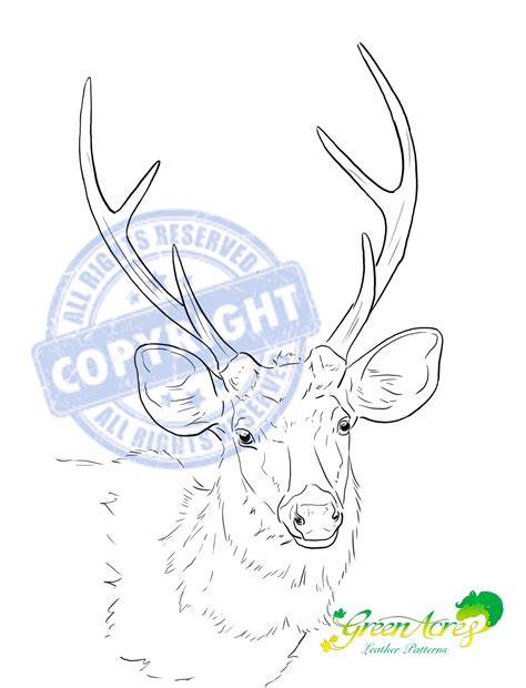 Deer Leather Tooling Pattern Etsy