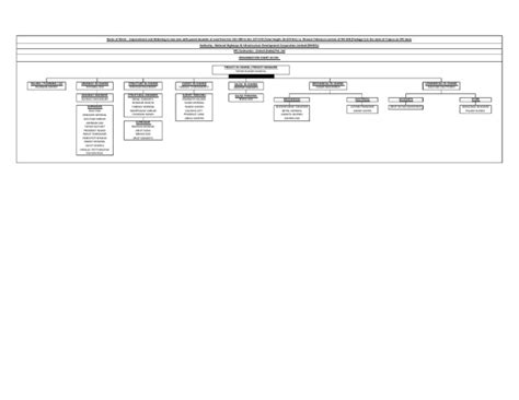 Organisation Chart Pdf