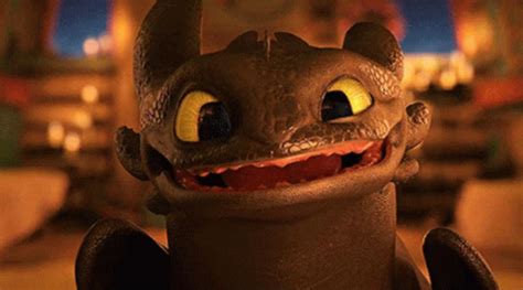 R Toothlessmybeloved