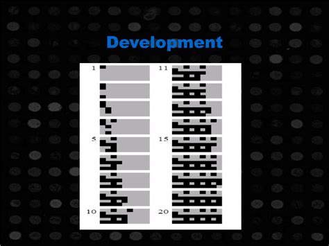 ppt modeling genetic network boolean network powerpoint presentation