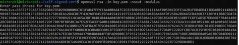 Openssl Rsa Mister PKI