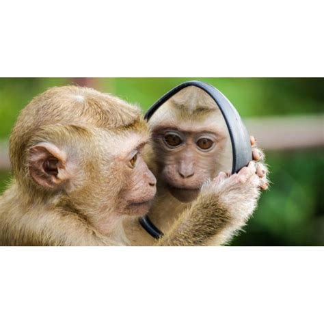 Jual Laptop Hp Bekas Shopee Indonesia