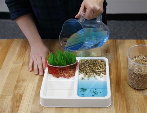 Exploring Earth Land Cover Nise Network