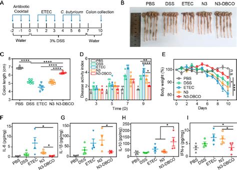 In Vivo Bioorthogonal Mediated Therapy In A Dss Induced Colitis Mice Download Scientific
