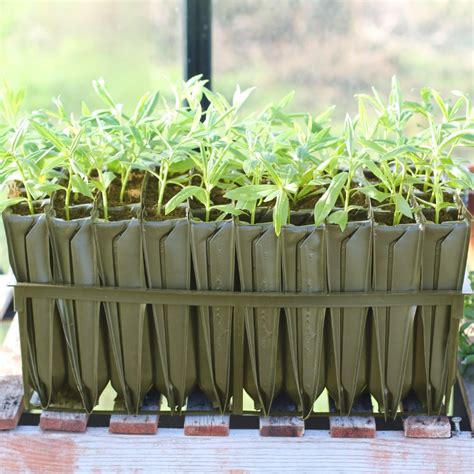 Maxi Rootrainer For Deep Root Growth Gardening Naturally