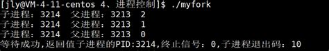 【linux】进程创建 终止 等待 替换 linux status 234 csdn博客
