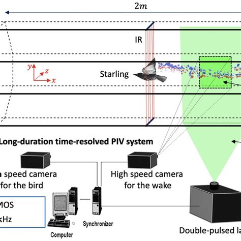 Example Instantaneous Velocity Vector Maps As Computed From The
