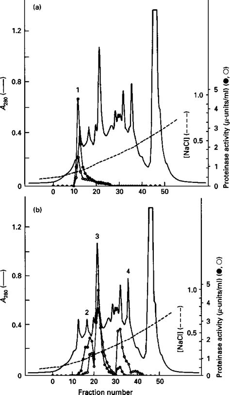 Figure 1 From Separation And Partial Characterization Of Proteinases