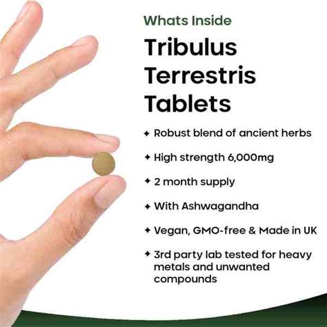 Tribulus Terrestris 6000mg Tablets With Ashwagandha 120 Fill Health