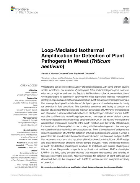 Pdf Loop Mediated Isothermal Amplification For Detection Of Plant Pathogens In Wheat Triticum