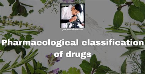 Taxonomy Examples Archives Pharmaacademias