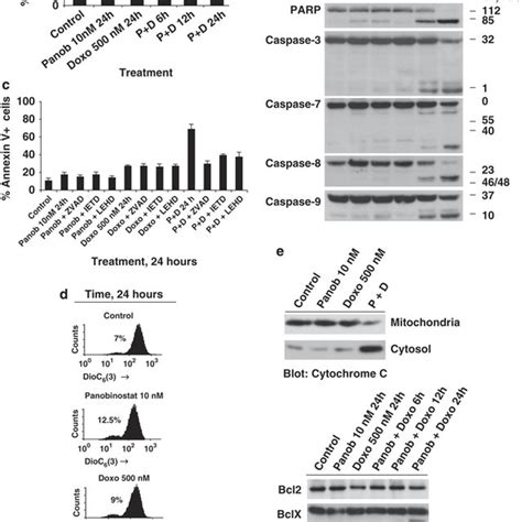 Synergistic Effect Of Panobinostat And Doxorubicin In Acute Myeloid Download Scientific Diagram
